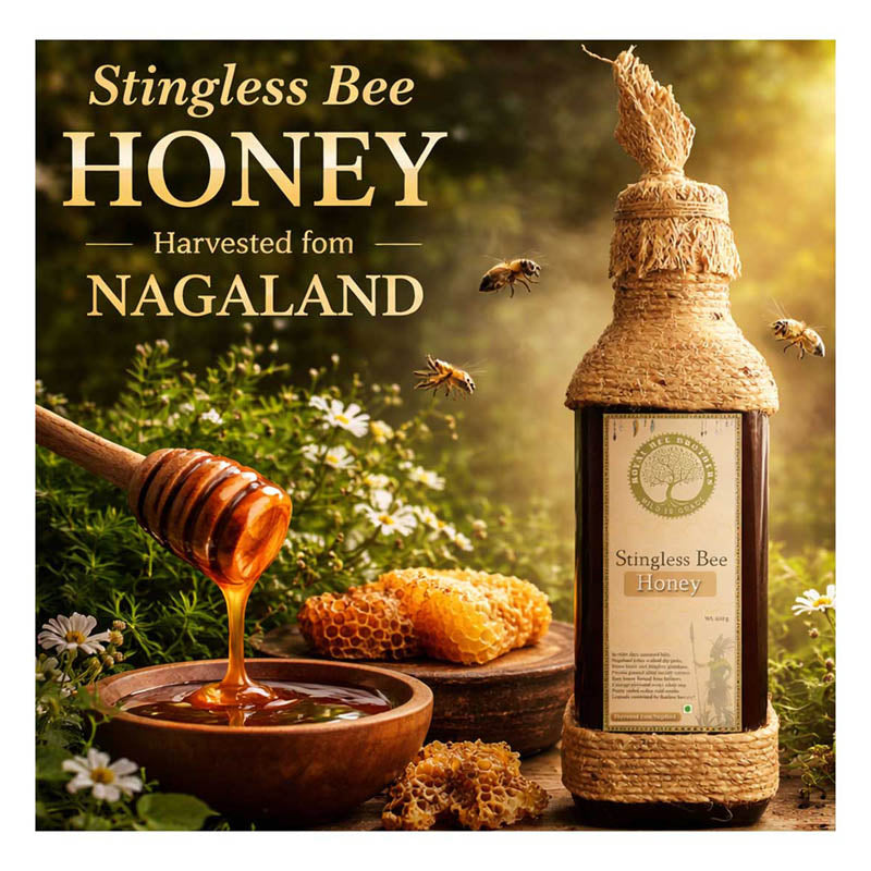 Stingless Bee Honey from Nagaland | Rare Medicinal Forest Honey